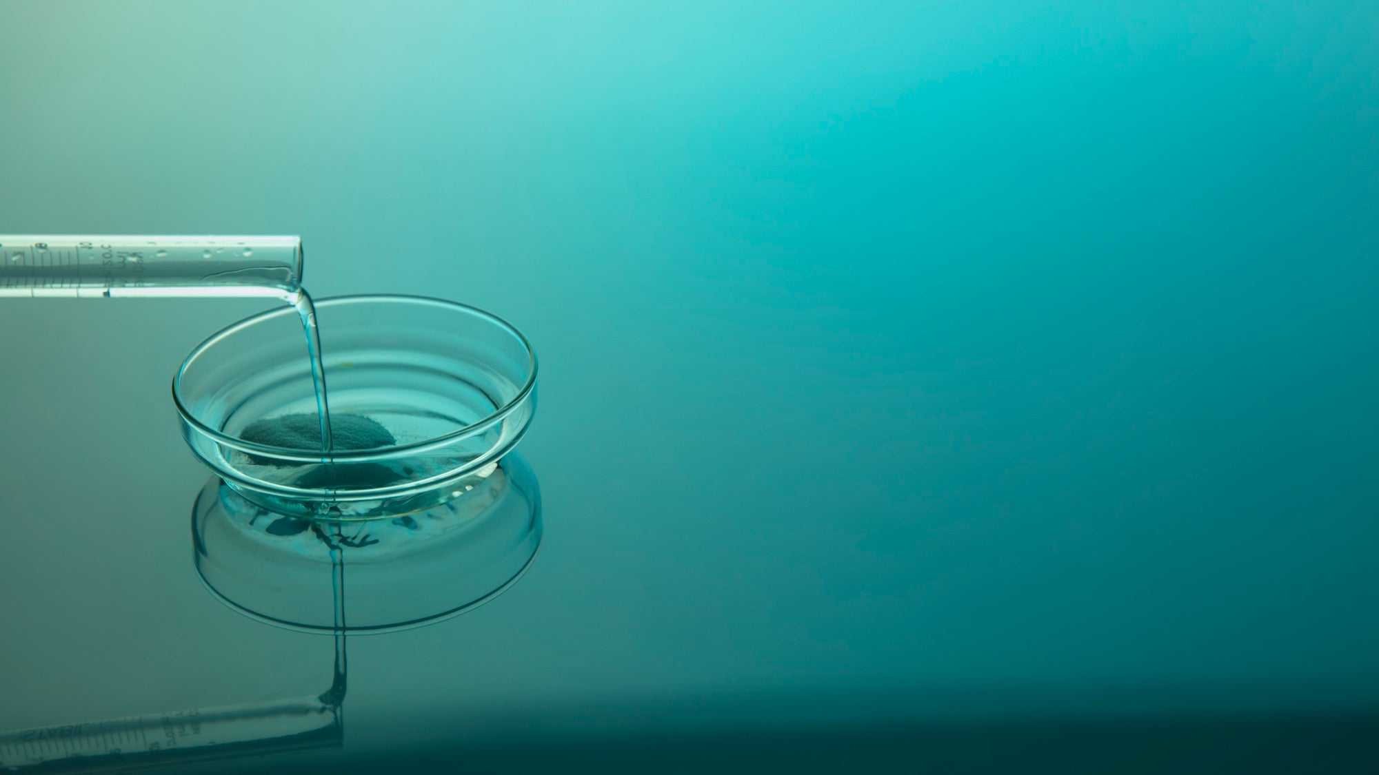 Brands – Best Chemical Co (S) Pte Ltd